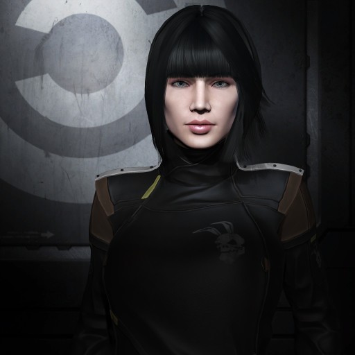 Caldari Faction Warfare Guide | EVE Online